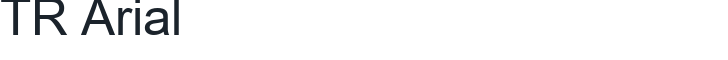 Arial Unicode Ms Gujarati Fonts